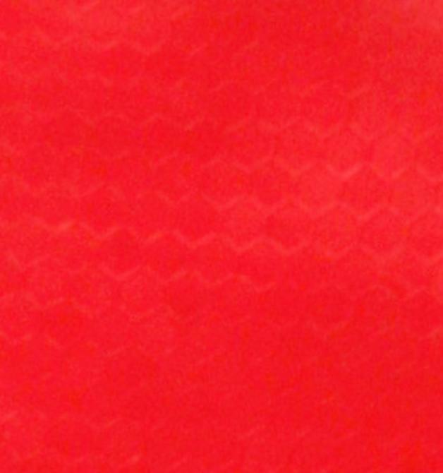 NWOT Red Honeycomb Texture Make-Up Bag – Second Bite